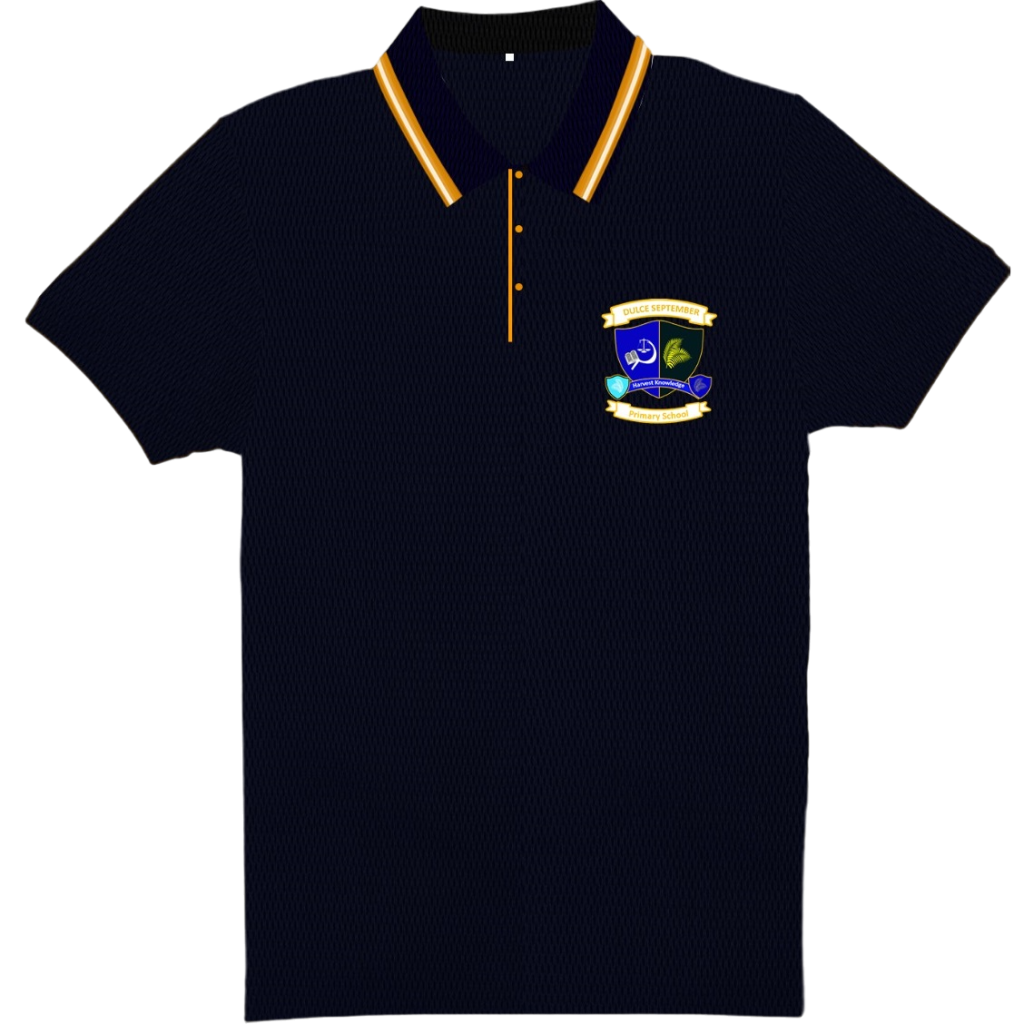 Dulcie September Primary School Archives - Gama Designers - Textiles ...